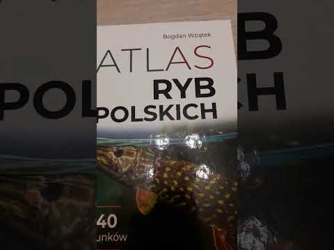 Nowa gazetka wędkarska,,atlas ryb polskich"