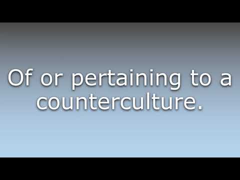What does Countercultural mean?