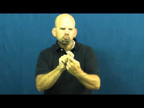 American Sign Language ASL Video Dictionary - vindicatory