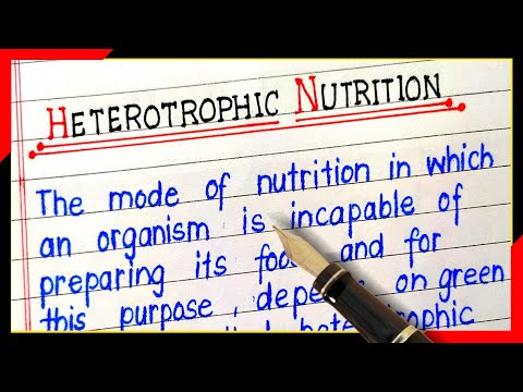 What is heterotrophic nutrition | Definition of heterotrophic nutrition