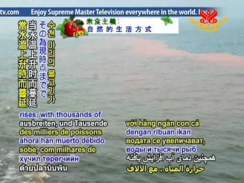 SAVE OUR PLANET - Algae bloom causes red tide in S China seawater
