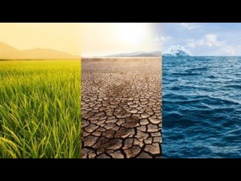 Climate Change explained || Environmental issues