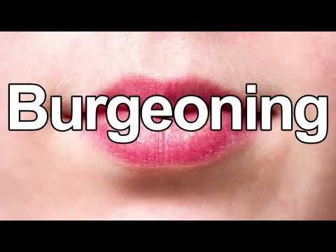 How to Pronounce Burgeoning