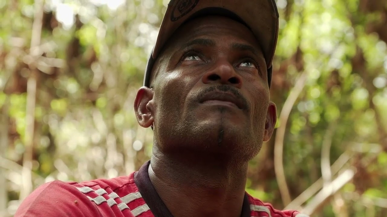 Documentaire | Déforester pour survivre