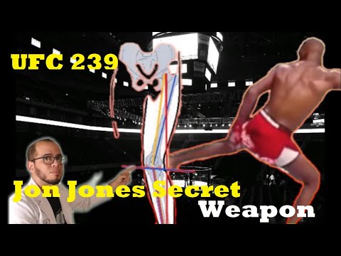 Jon Jones Secret Weapon in UFC 239 : The anatomy of the Oblique Kick