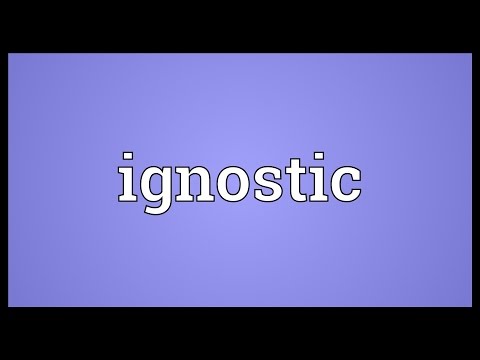 Ignostic Meaning