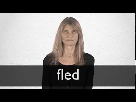 FLED definition and meaning | Collins English Dictionary