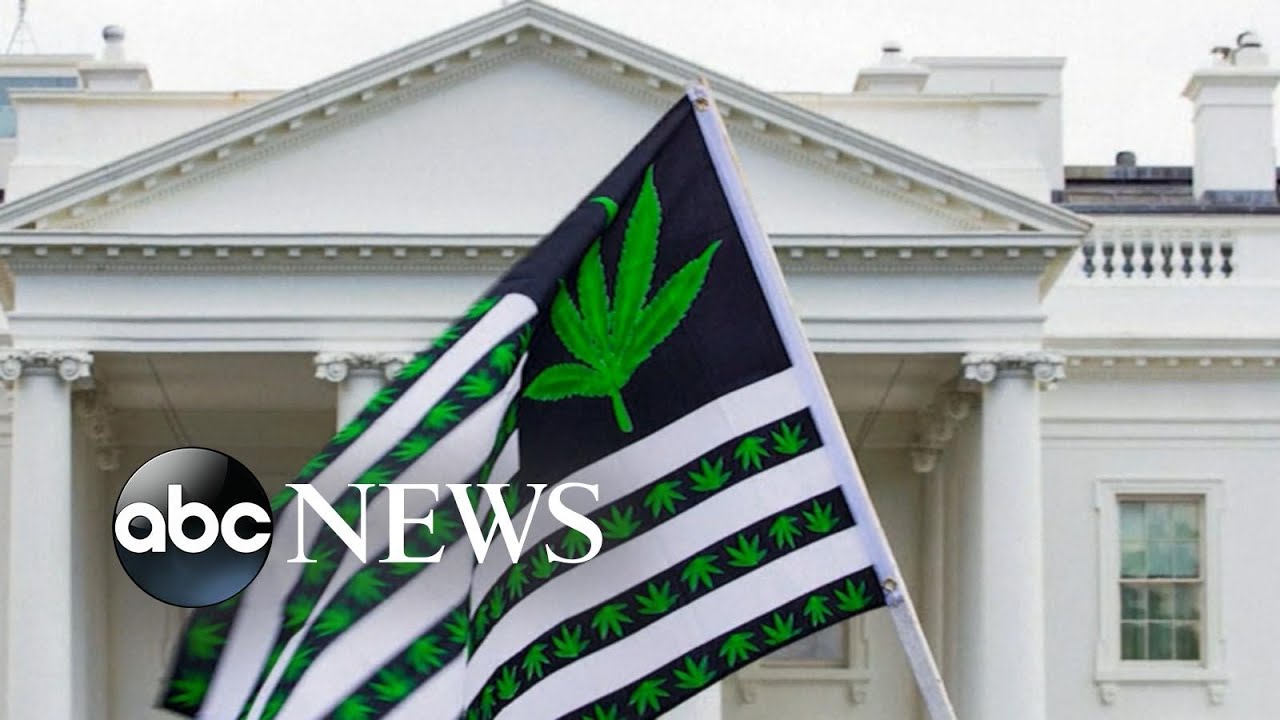 Marijuana possession pardons