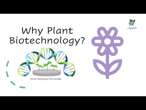 Definition, types, relation and scope of PLANT BIOTECHNOLOGY