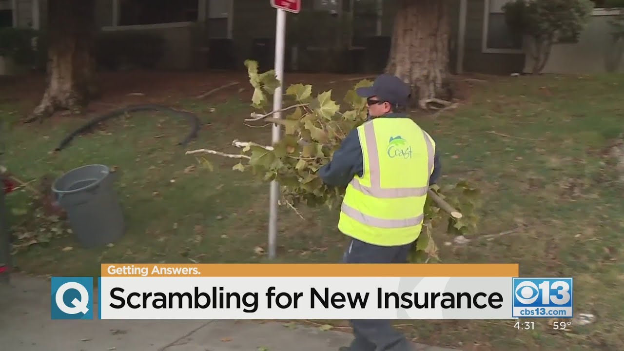 Tree Trimming Businesses Scramble For New Insurance
