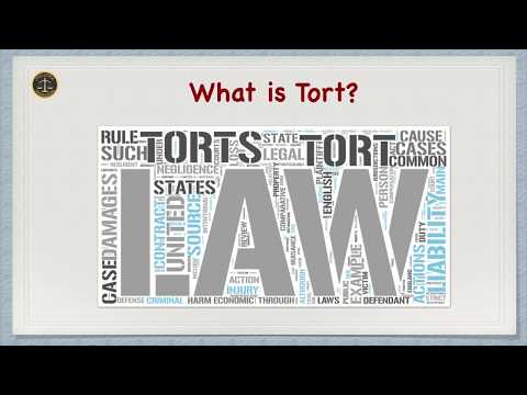 Introduction to the Law of Tort Video Lecture - CLAT