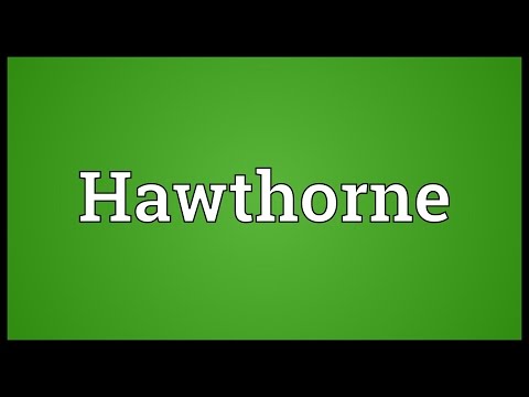 Hawthorne Meaning
