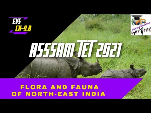 Flora and Fauna (With Rare and Endangered Species) of North-East India।EVS CH-9(B)