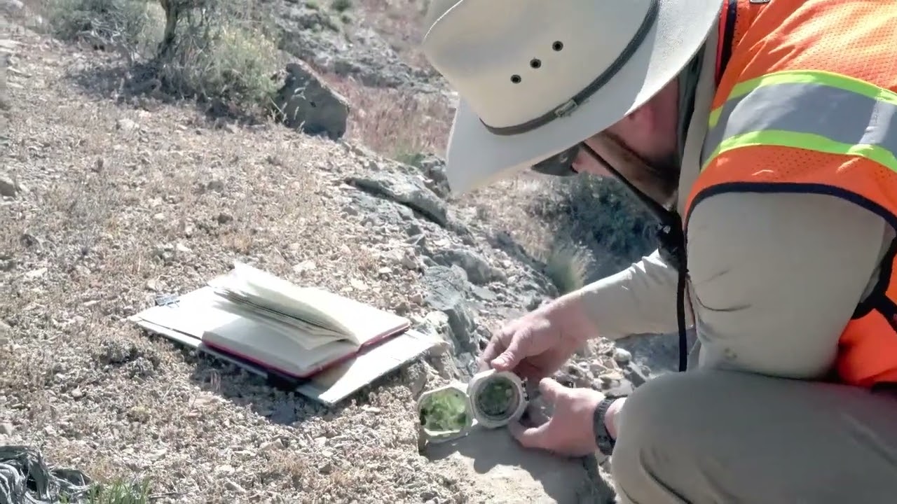 Burgex Mapping and Sampling Geological Services