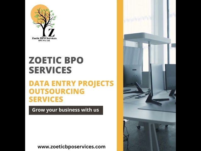 Data Entry - Data Entry Projects For Setup Service Provider from Noida