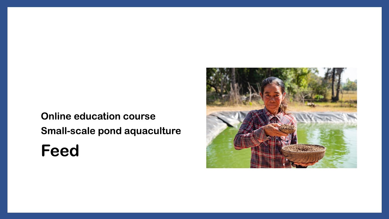 Small-scale Aquaculture Course - Chapter 3: Feed