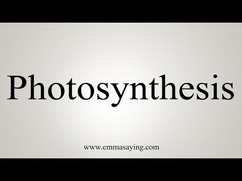 How To Say Photosynthesis