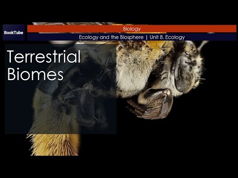Terrestrial Biomes | Ecology and the Biosphere | Unit 8. Ecology