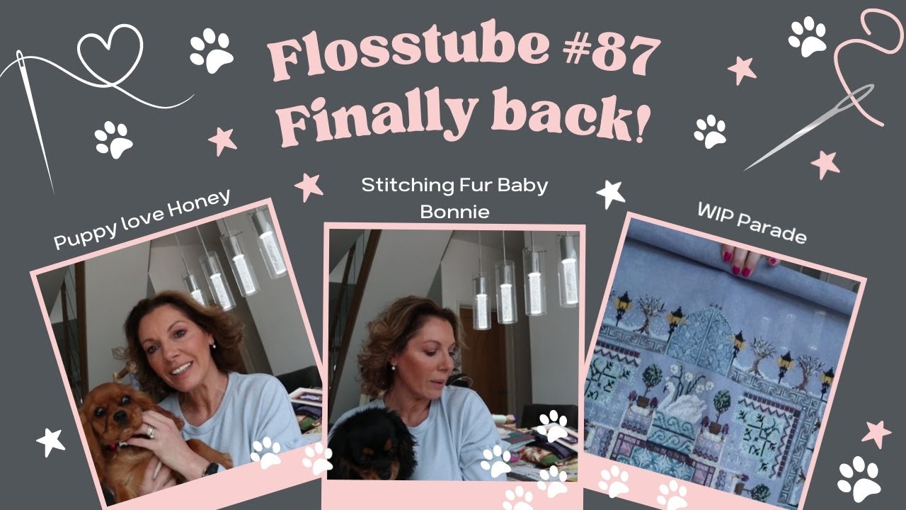 Flosstube # 87 Finally back!