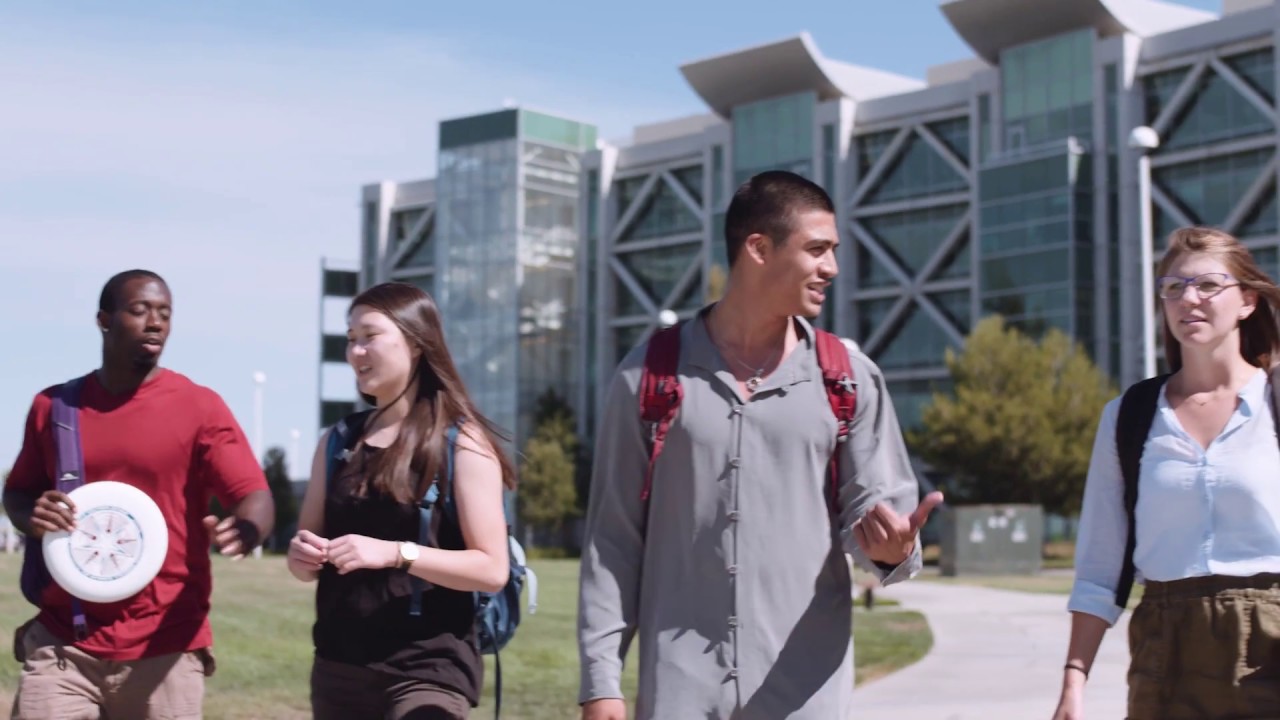 Course Hero: A Student's Perspective