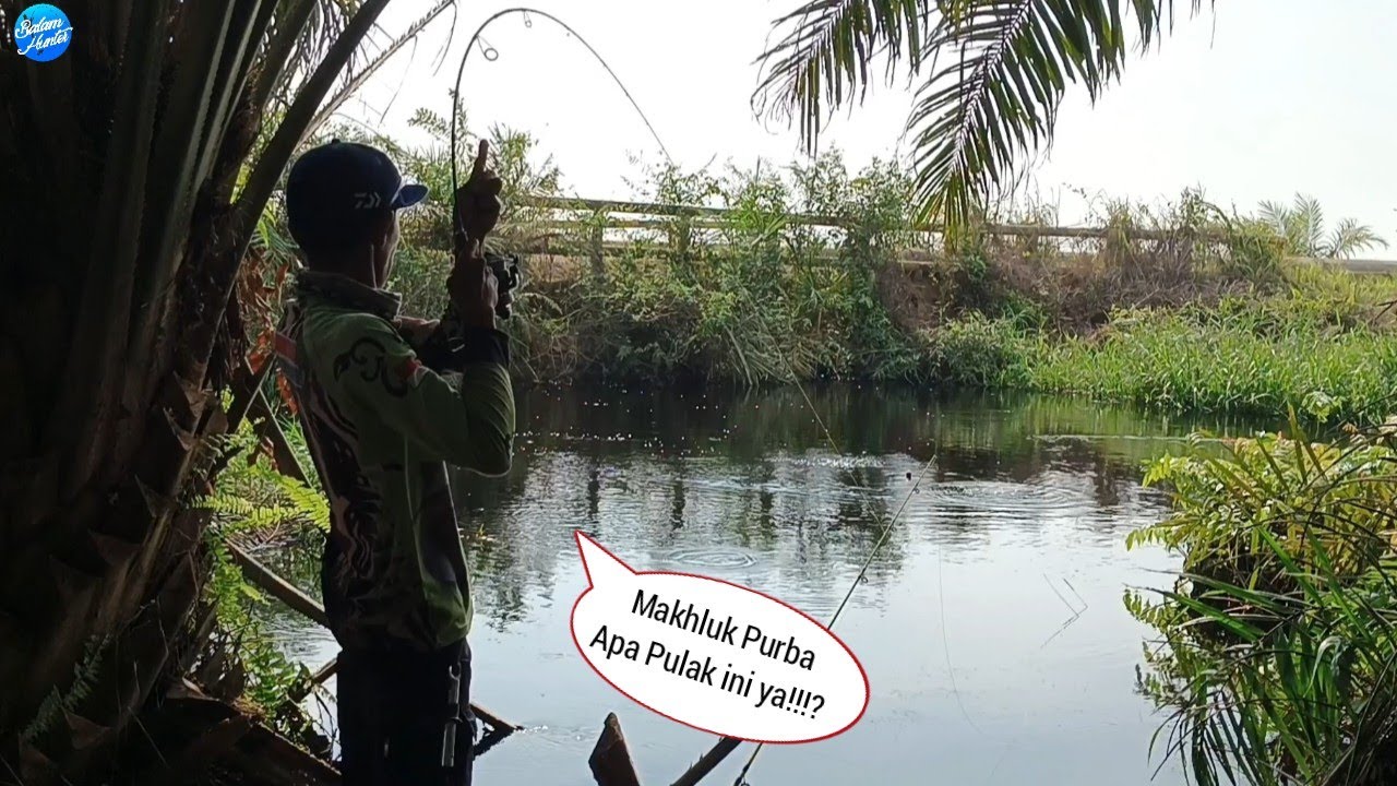 CASTING TOMAN!! GILAKNYA MONSTER DALAM SUNGAI INI
