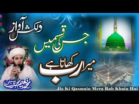 Jis Ki Qasmain Mera Rab Khata Hai || Sufi M Naeem Saifi || New Kalam 2025
