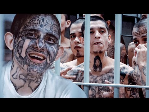 invertiryespecular.com Así es por dentro el CECOT y la lección que ...