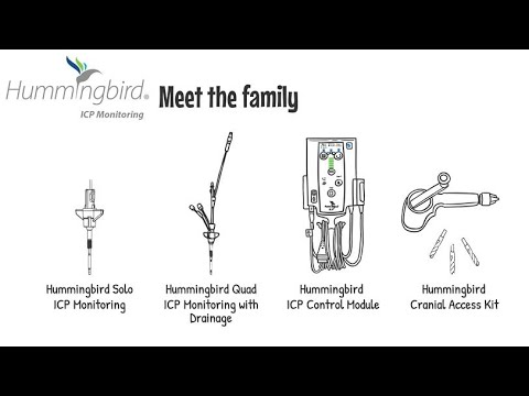 Meet the Family: Hummingbird ICP Neuromonitoring