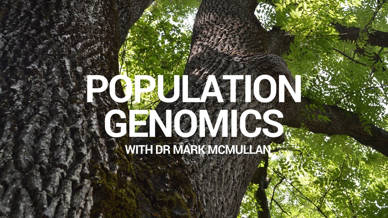 Population Genomics with Dr Mark McMullan