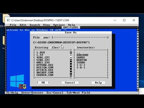 Running DOS applications on Windows 10 (x64)!