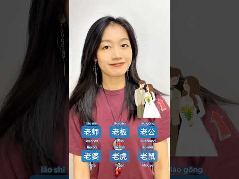Chinese terms with 老lao #mandarin #learnchinese #chineseforbeginners #chineseonline