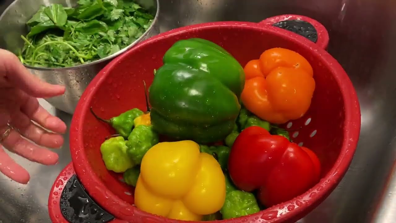 How to Make & Store Authentic Puerto Rican Sofrito — Mari's Cooking