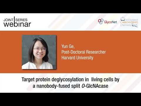 GlycoNet/#ACSCARB Webinar ft. Dr. Yun Ge
