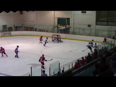 2017-2018 PEEWEE A1 Surrey vs A1 Ridge Meadows - League Game - Jan 16, 2018 3-3T 2nd Period