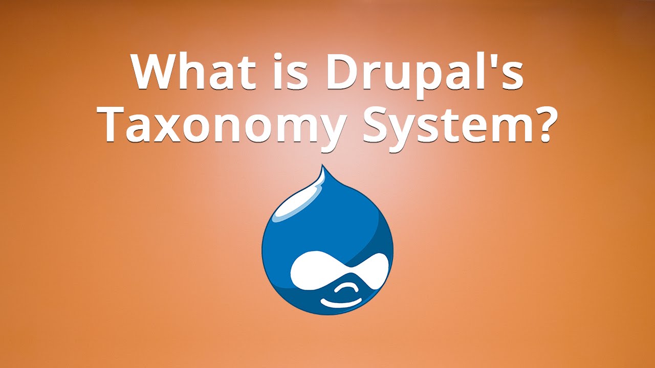 What is Drupal's Taxonomy System?