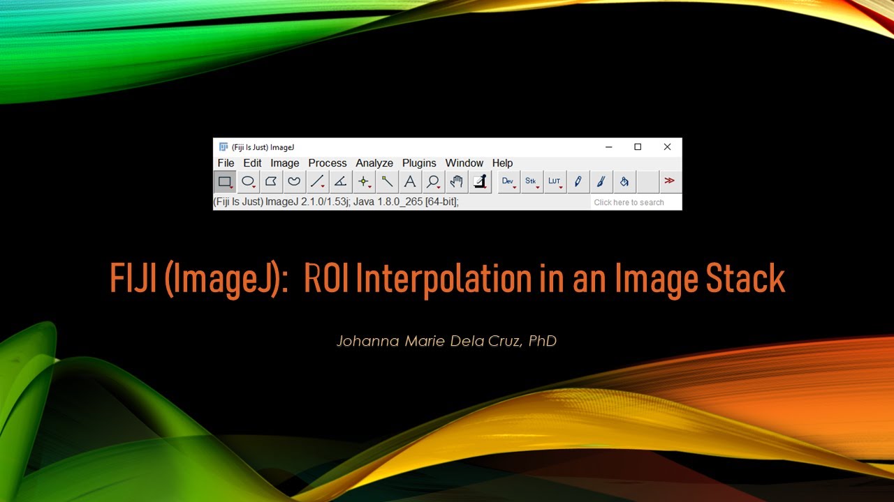 FIJI (ImageJ): ROI Interpolation in an Image Stack
