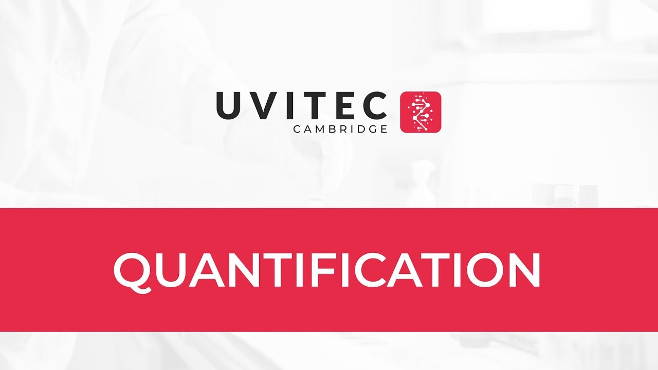 Tutorials - Quantification