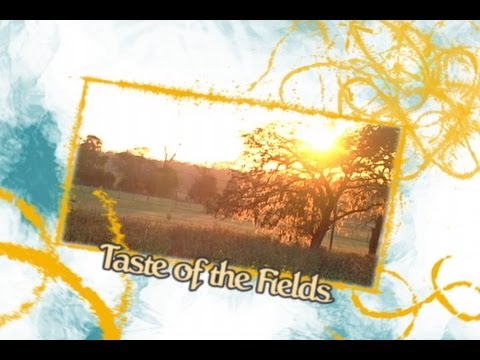 Kiwanis Club "Taste of the Fields" Brooksville Ridge (Our Florida TV)