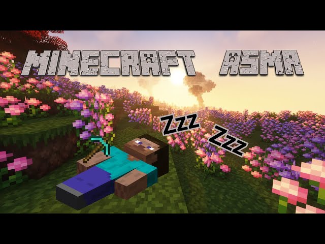 Mundo ASMR Minecraft Map