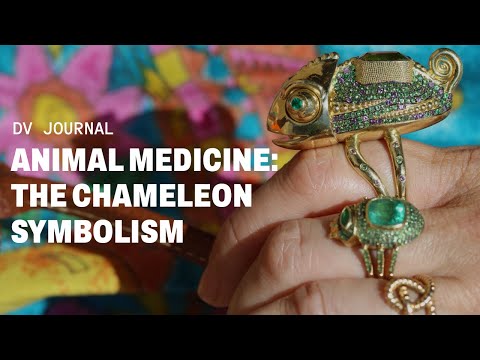 Animal Medicine: The Chameleon Symbolism