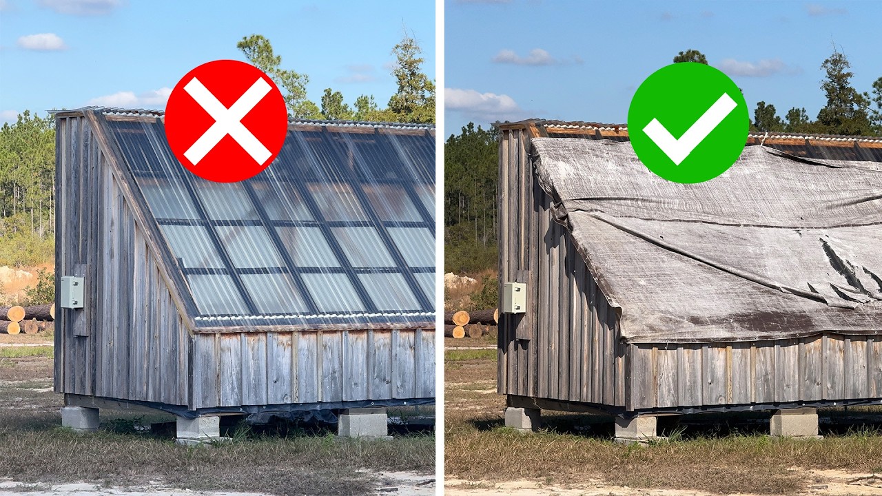 7 Lumber Drying Secrets You MUST Know!