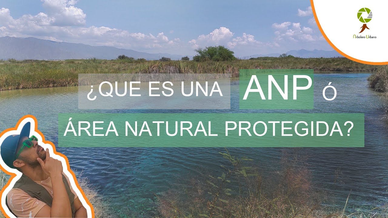 QUE ES UNA ÁREA NATURAL PROTEGIDA