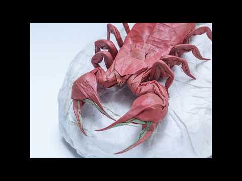 Amazing origami – Why Evolution Is True