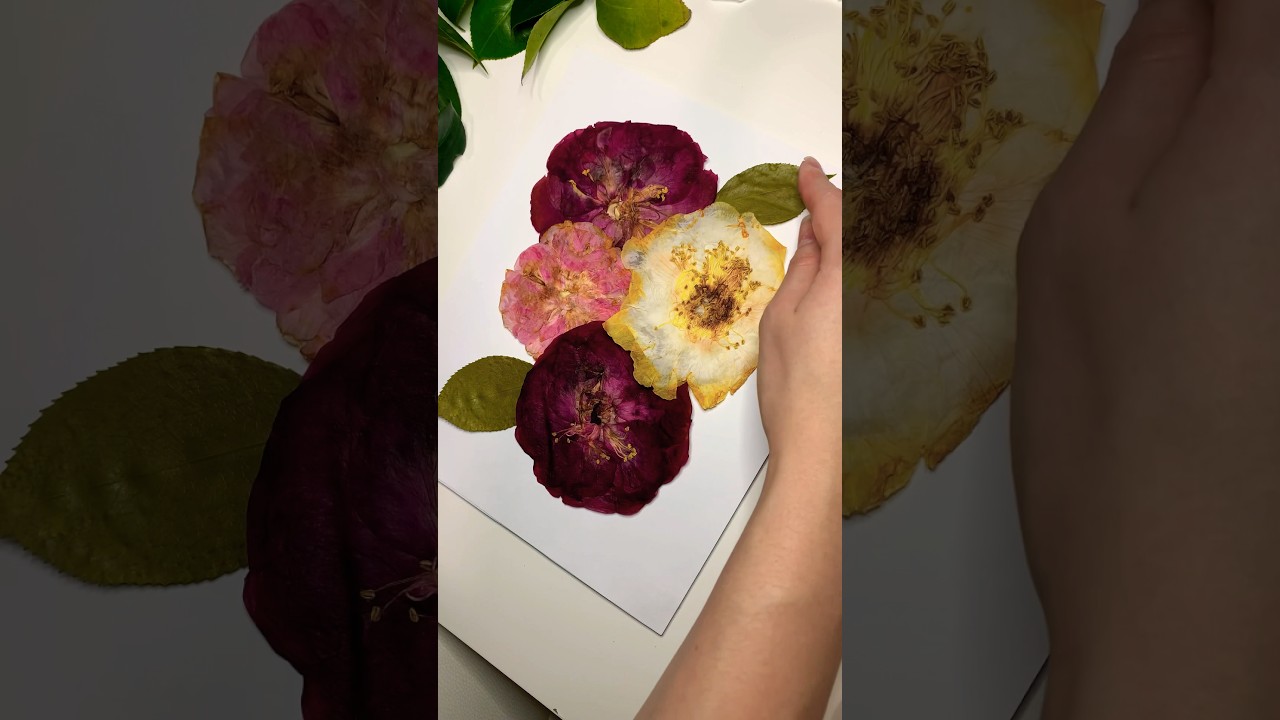 Kreasi Seni Bunga Kering DIY 🌸 #diy #kerajinandiy #bunga kering