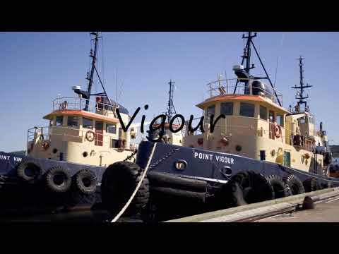 How to Pronounce Vigour?