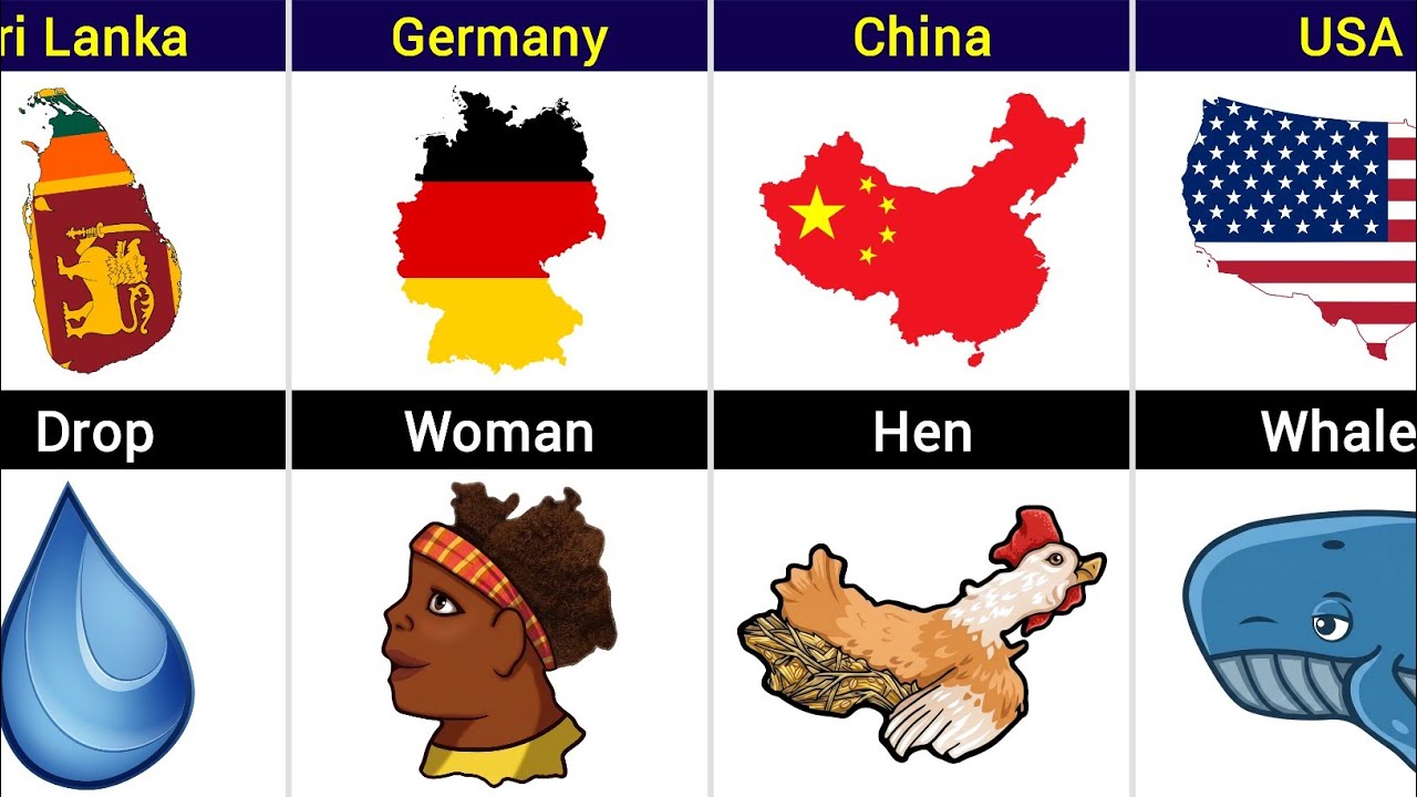 Countries Map That Looks Like Pictures | Amazing World Map Illusion Compilation 🌍