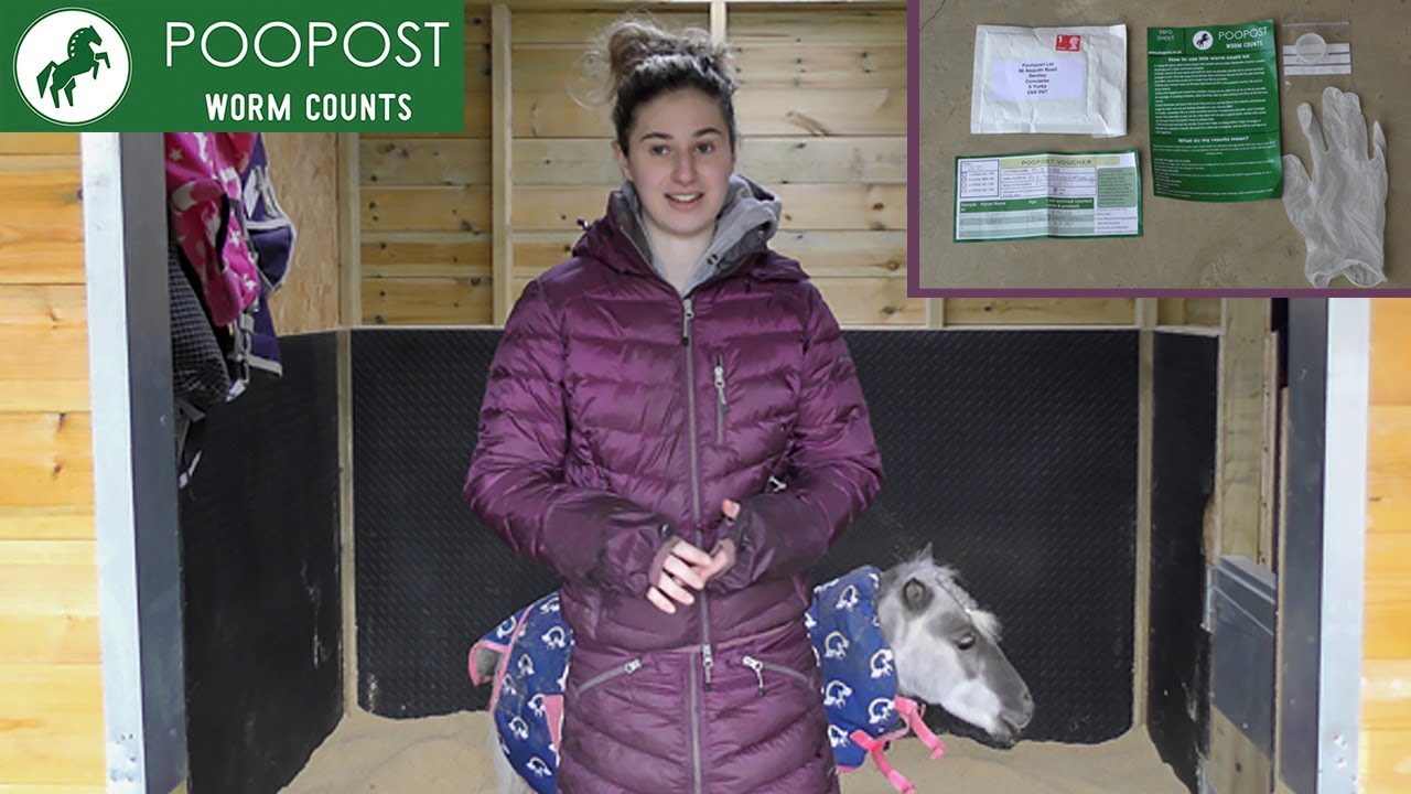 Poo Post Worm Count Kit - Review