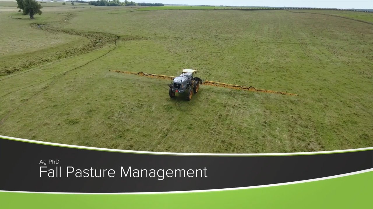 Fall Pasture Management (From Ag PhD Show #1169 - Air Date 8-30-20)