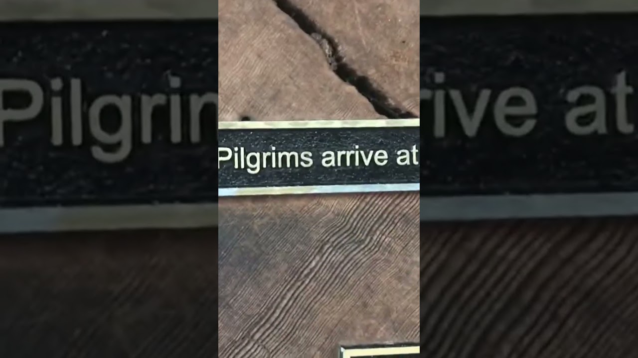 Counting The rings on a redwood tree￼