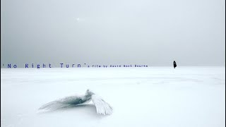 No Right Turn streaming: where to watch online?